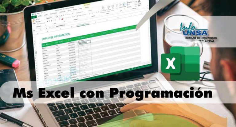 Ms. Excel con Programación: curso - Infounsa